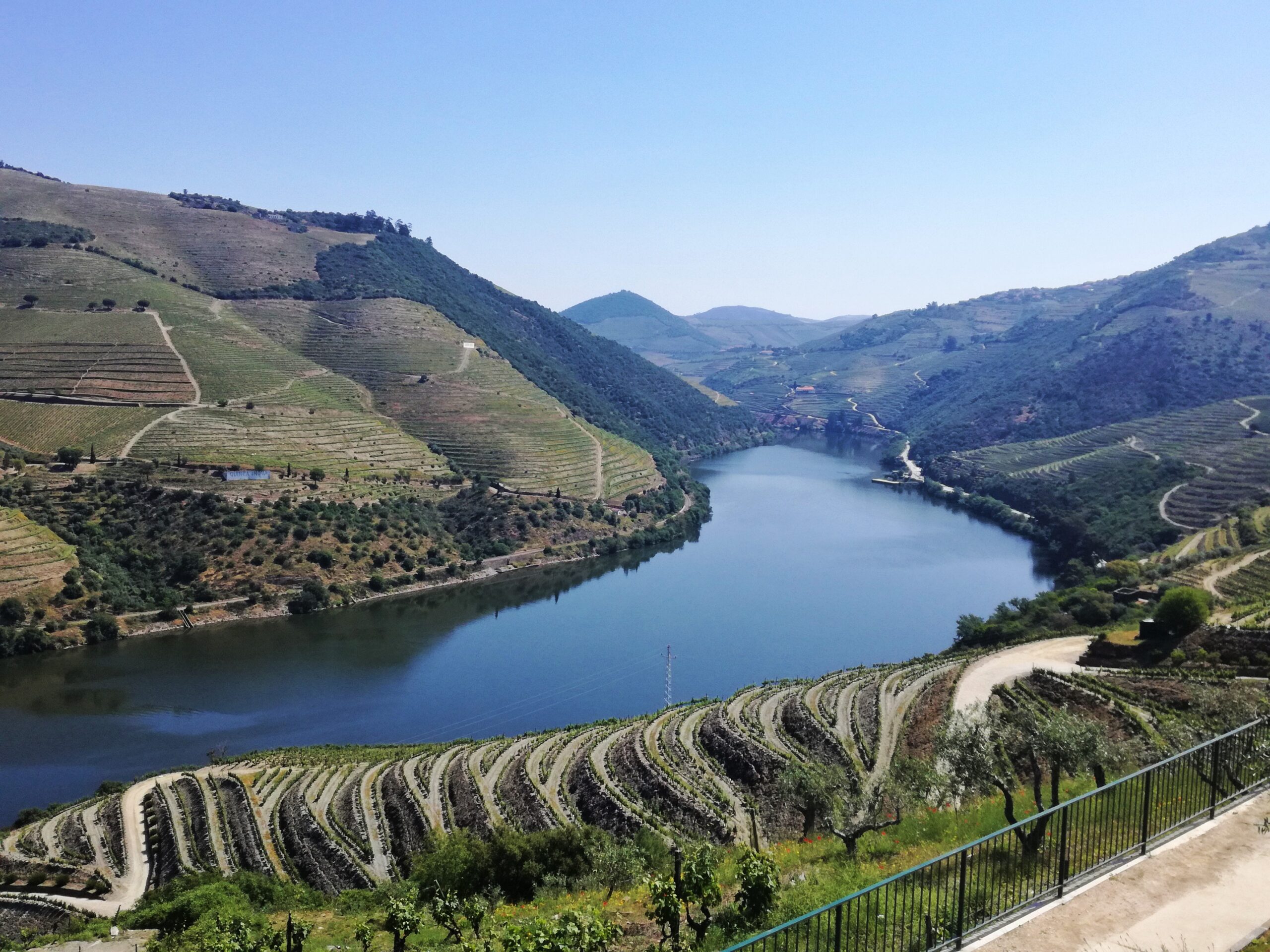 Douro Tour - OportoPrime